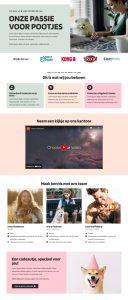 Over ons pagina maken? 5 voorbeelden ter inspiratie!